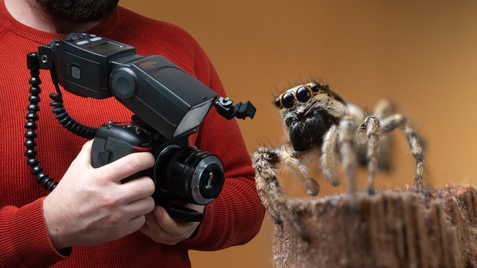 Macro Bug Photography on a Budget | Fstoppers