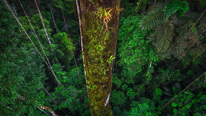 11 Ways to Improve the Sharpness of Your Images (Part 3) | Fstoppers