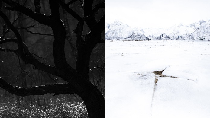 A Closer Look at High Key and Low Key Photography | Fstoppers