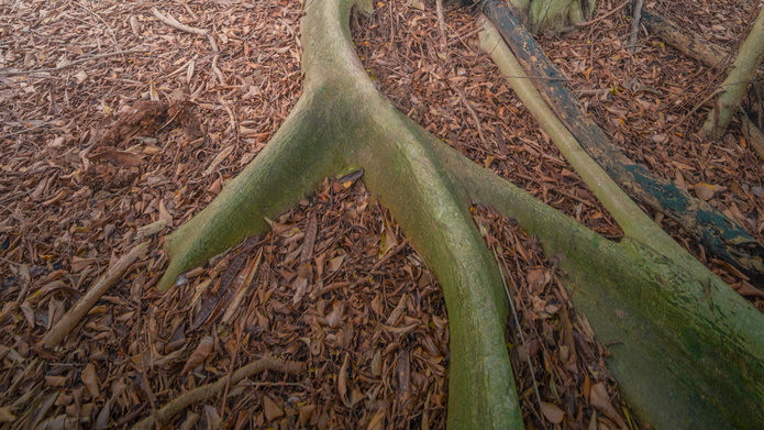 Learn to Utilize Frequency Separation in Landscape Photography | Fstoppers