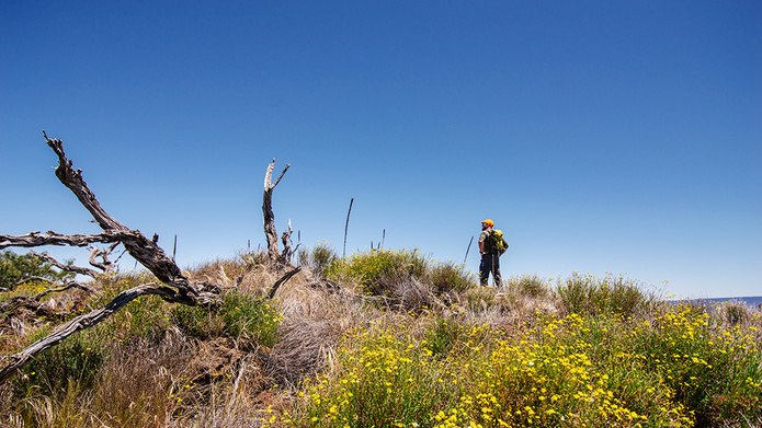 How to Photograph in Harsh Sun | Fstoppers
