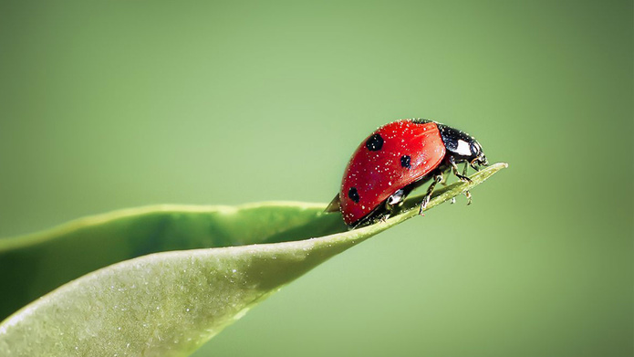 The Best Images From GuruShots 'Minimalist Shots' Challenge | Fstoppers