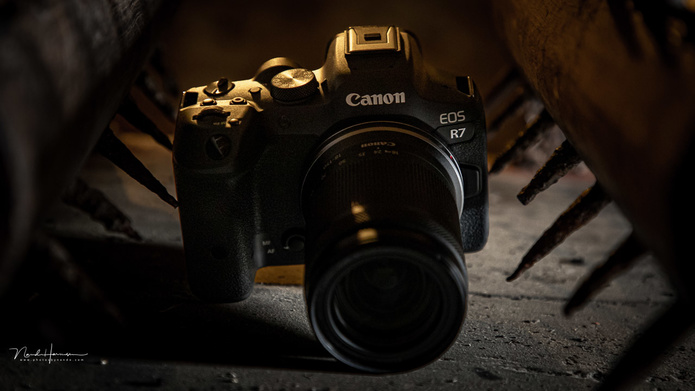 We Review the Canon EOS R7: How Does It Perform for Casual Photography ...