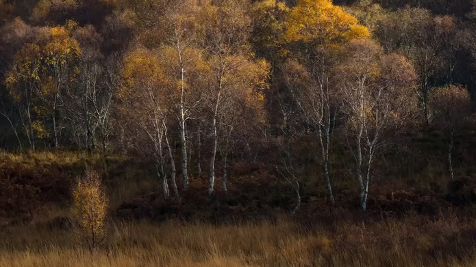 The Importance of Knowing and Photographing Your Local Landscapes ...