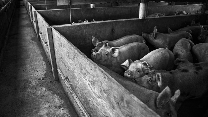 Fstoppers - Photography News, Gear Reviews, Tutorials, and Community