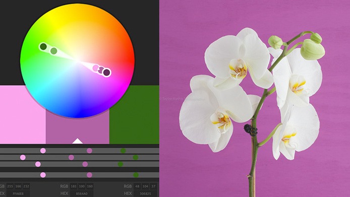 Gaining Inspiration Through Using A Color Wheel | Fstoppers