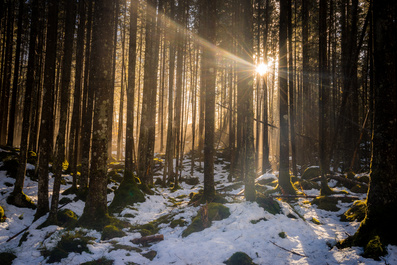 Fstoppers - Photography News, Gear Reviews, Tutorials, and Community