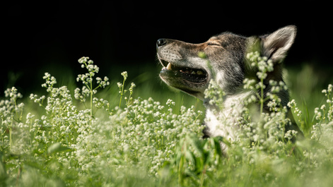 Fstoppers - Photography News, Gear Reviews, Tutorials, and Community