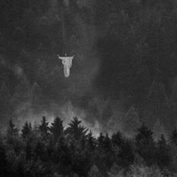 Adam Rowell on Fstoppers