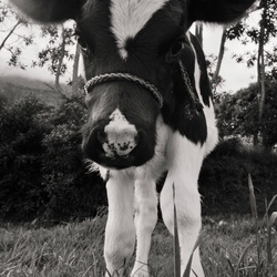 Ken Savage on Fstoppers