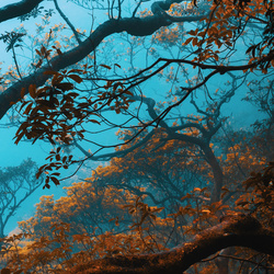 Timberland - Martin Salgo on Fstoppers