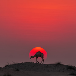 Faith - Victor Hamke on Fstoppers