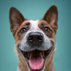 Beauty in window - Milan R on Fstoppers