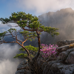 Cold loner - jaeyoun Ryu on Fstoppers