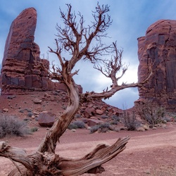 Recent Posts in - Fstoppers