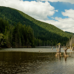 Recent Posts in - Fstoppers