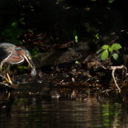 Recent Posts in - Fstoppers