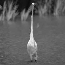 Recent Posts in - Fstoppers