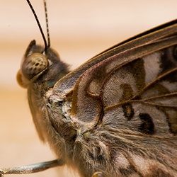 Recent Posts in - Fstoppers