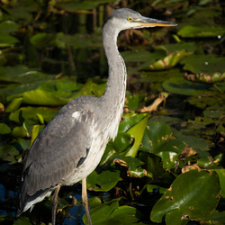 Recent Posts in - Fstoppers