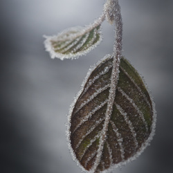 Candy Dungan - Aaron Anderson on Fstoppers