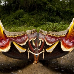 Flying High Over Dubai - Photo of the Day - March 10th 2012 - Fstoppers