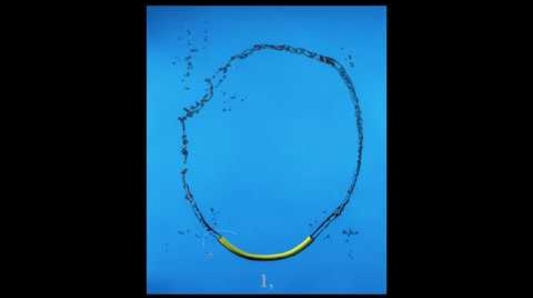 Such Joy - Ewan Paton on Fstoppers