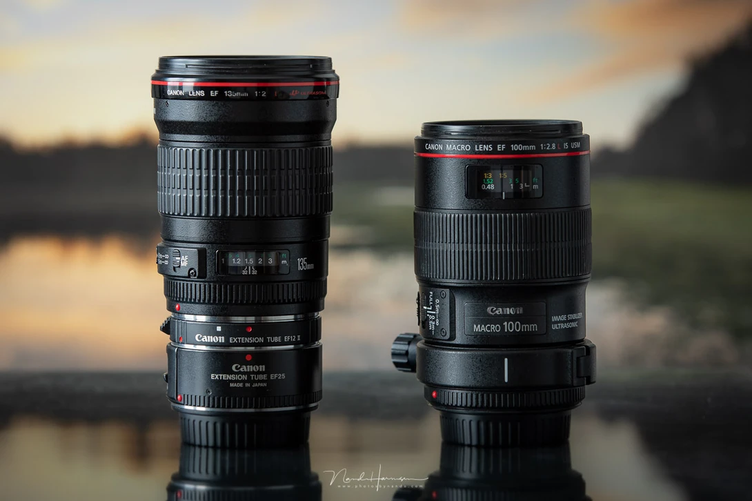 Which Is the Better Choice, A Macro Lens or Extension Tubes? | Fstoppers