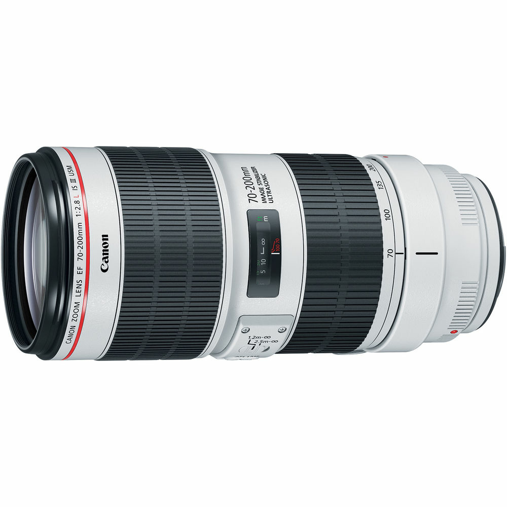 Explaining the Different Types of Lens Autofocus Motor | Fstoppers