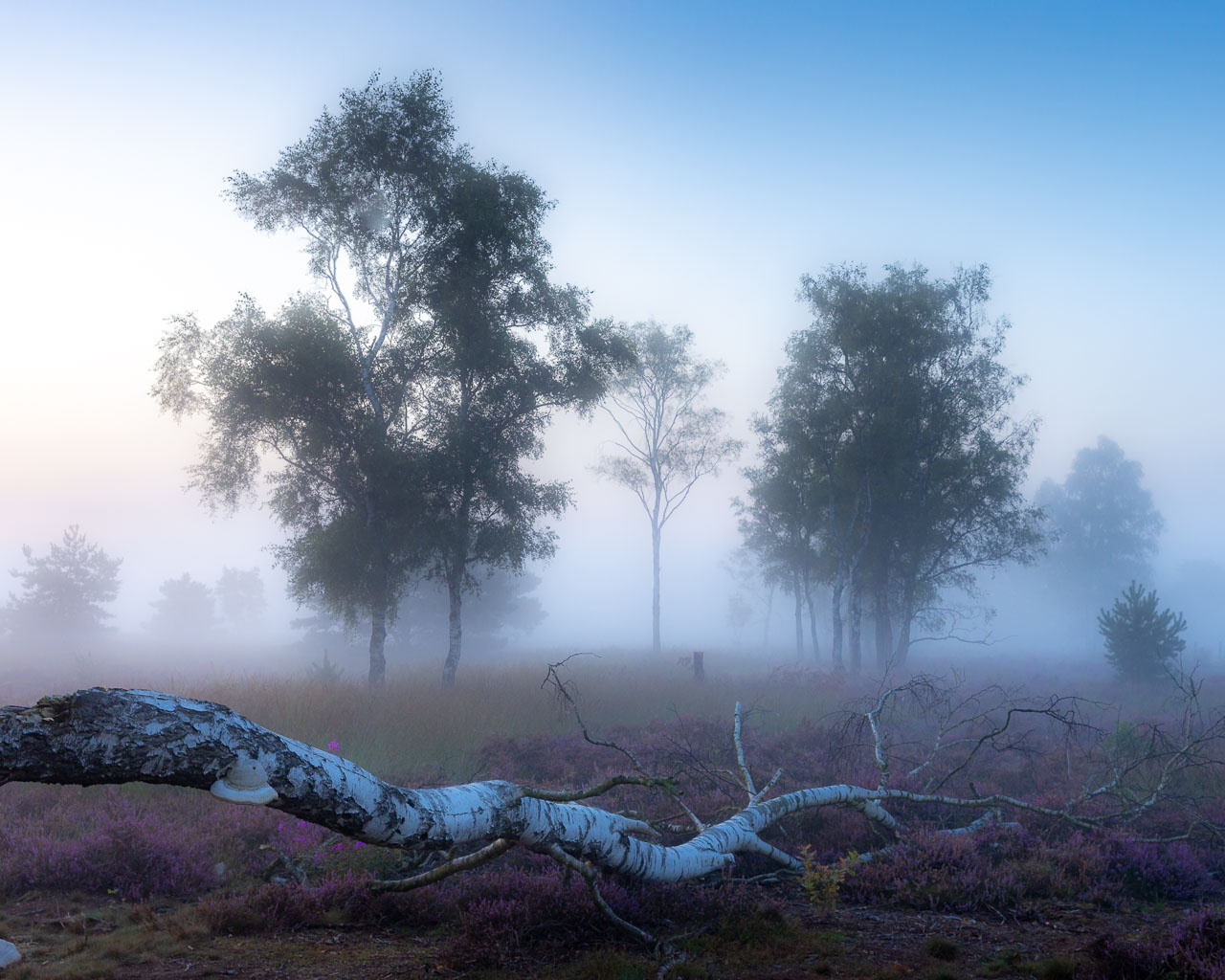 The Importance of Finding Balance in Landscape Photos | Fstoppers
