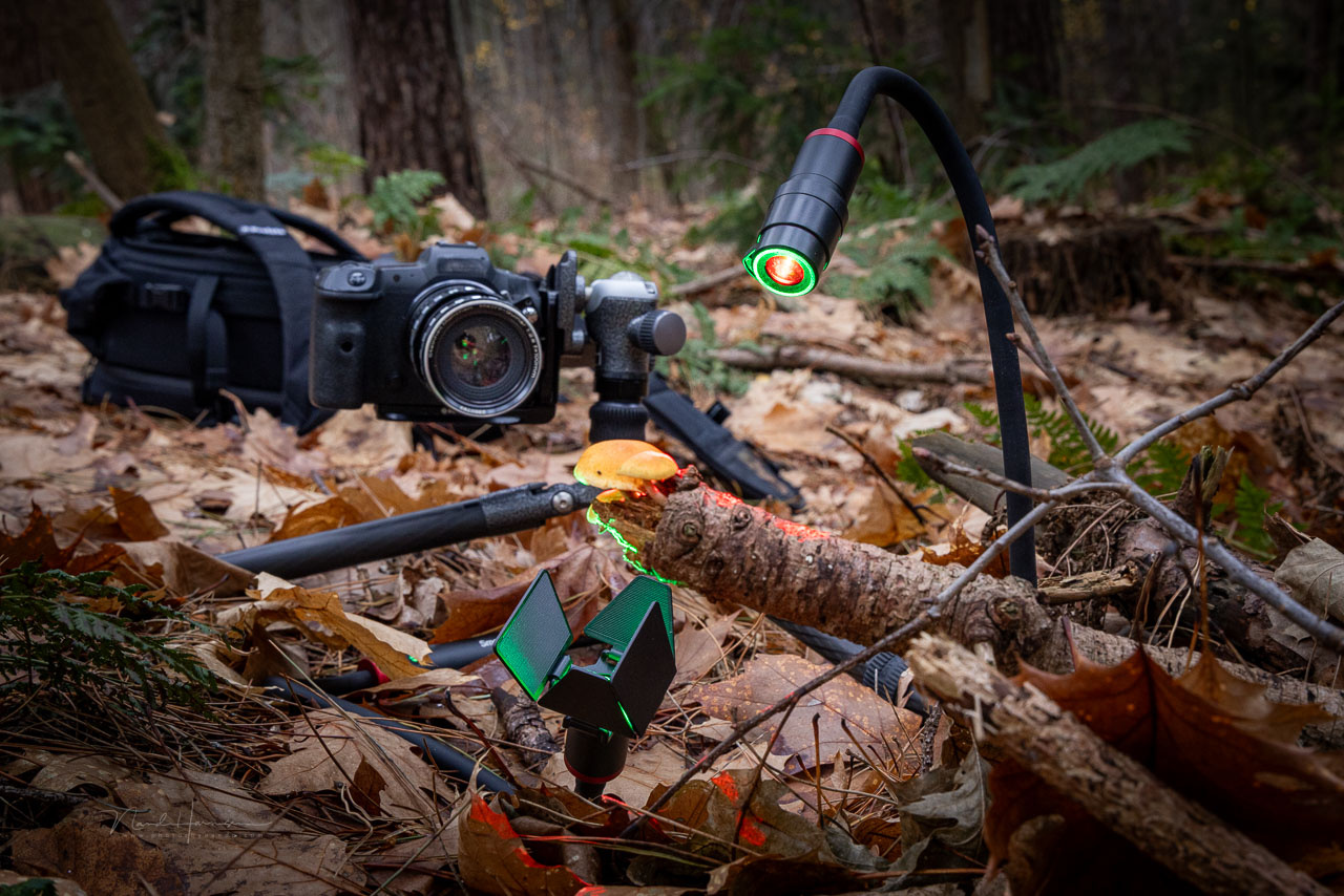 Field Test: SmallRig RM 03 Macro Photography LED Light for Close-Up ...