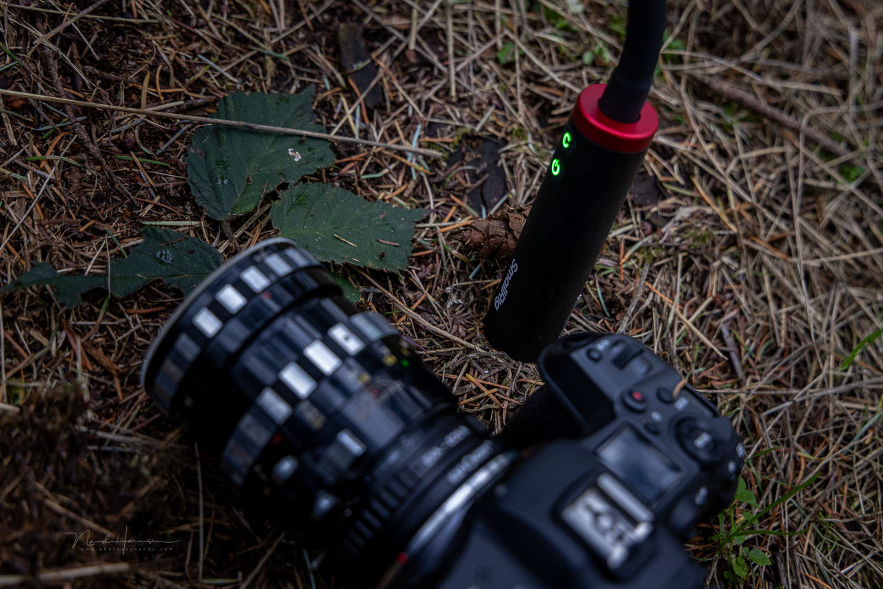 Field Test: SmallRig RM 03 Macro Photography LED Light for Close-Up ...