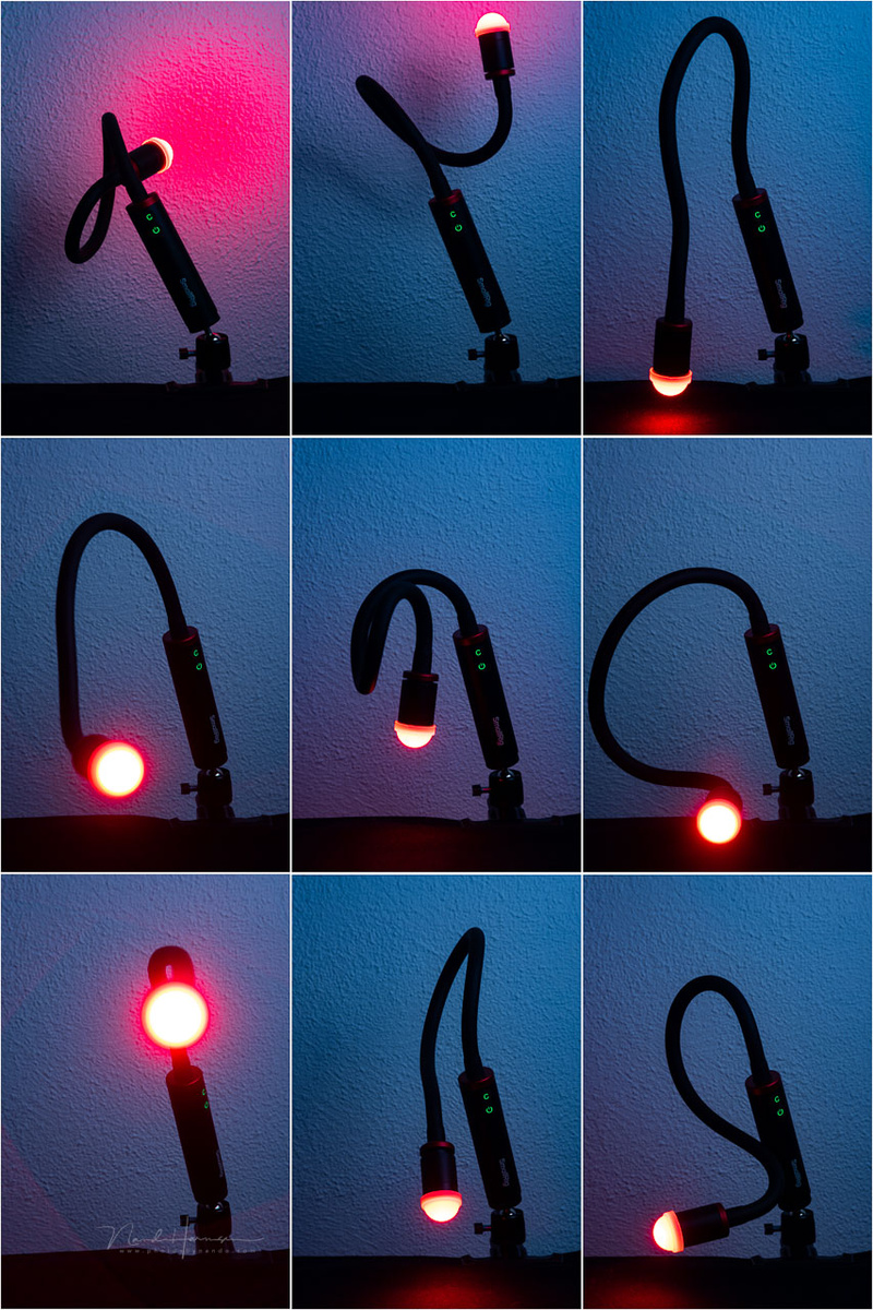 Field Test: SmallRig RM 03 Macro Photography LED Light for Close-Up ...