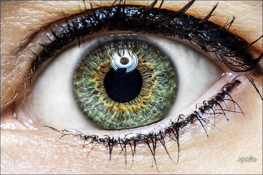 macro eye 6 by Kenny Beele | Fstoppers