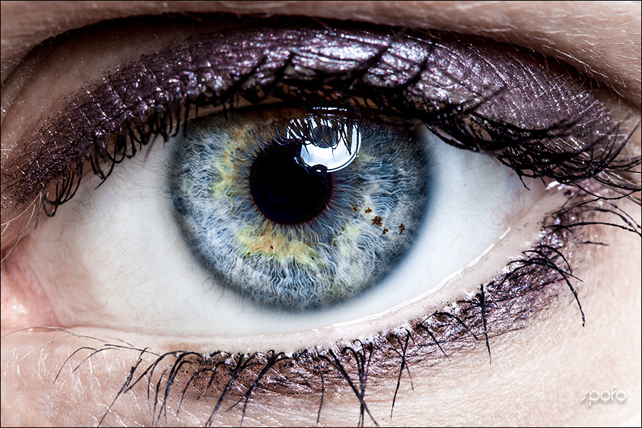 macro eye 3 by Kenny Beele | Fstoppers