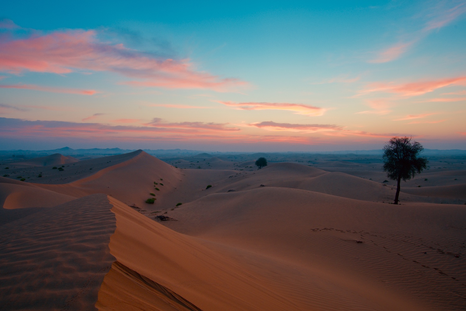 Good morning desert by Ron Cunningham | Fstoppers