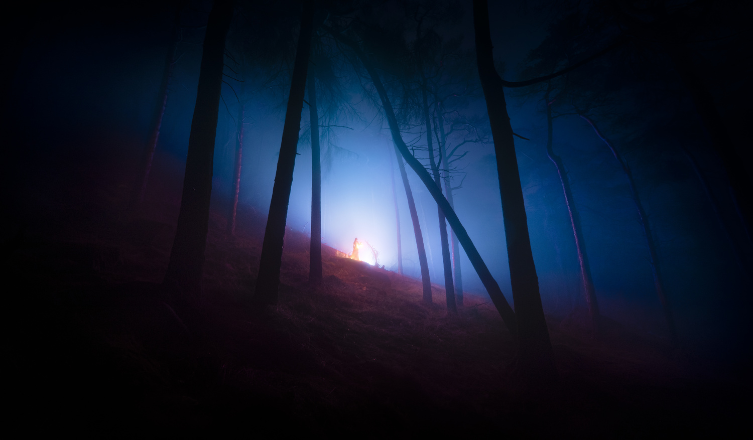 Forest Enchantment II by Ben Lockett | Fstoppers