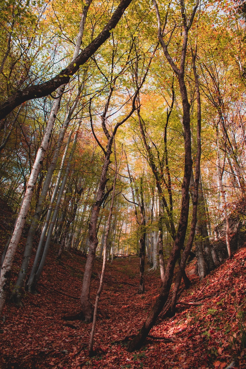 Autumn colours by Damir Seferagic | Fstoppers