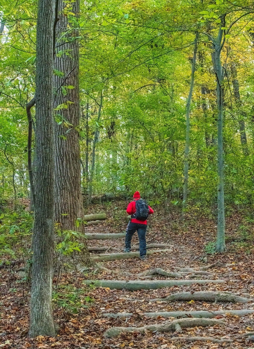 Autumn steps by Philip Metlin | Fstoppers