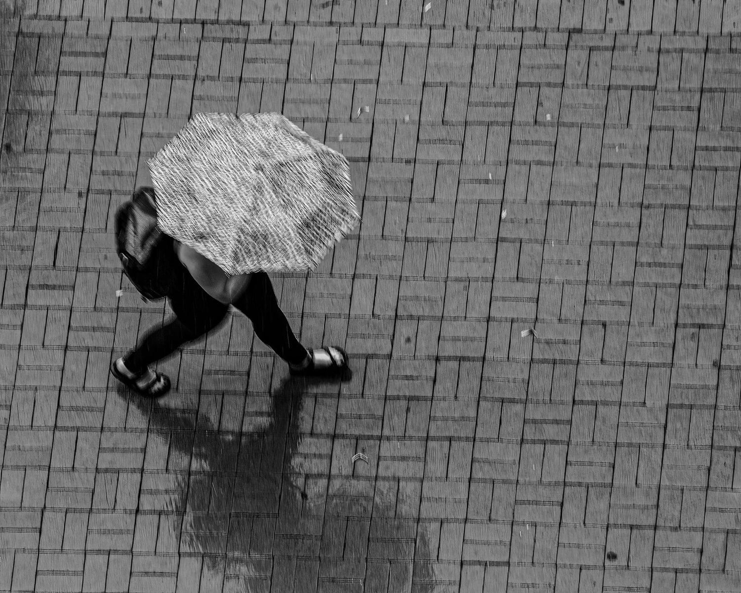 Umbrella walk in sandals by Philip Metlin | Fstoppers
