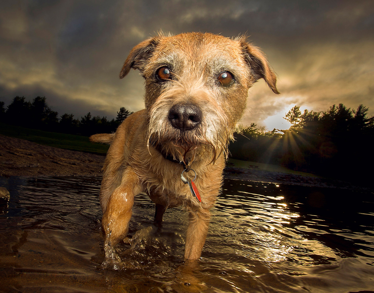 Sunset dip in the lake by Jordan Pinder | Fstoppers