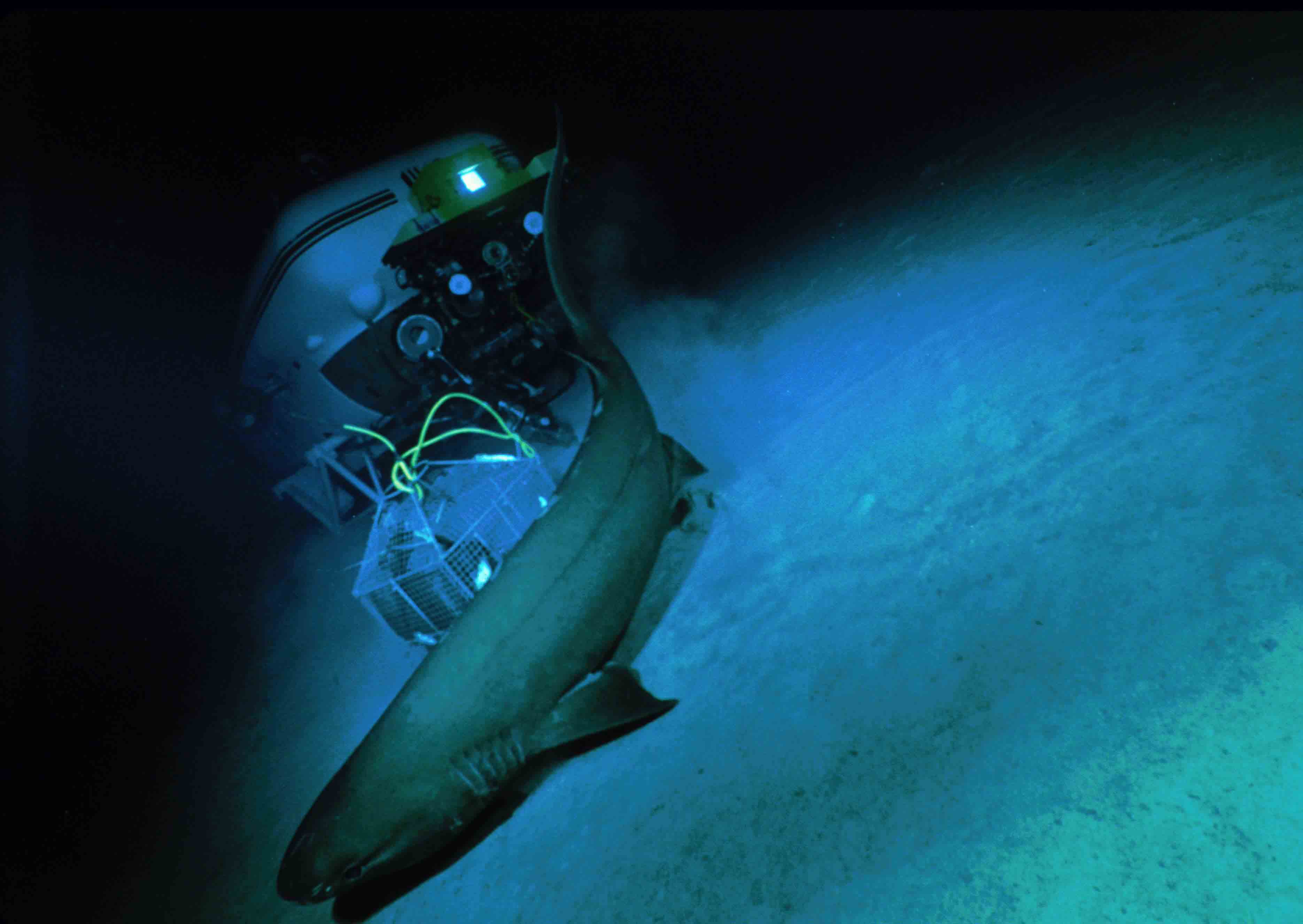 Shooting the Titanic: How Do You Light the World’s Most Famous ...